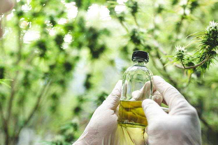 The Science Behind CBD: Understanding How it Works in the Body - All ...