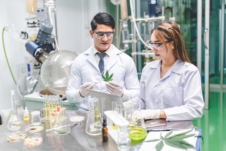 CBD and the Future of Medicine: How Cannabidiol Is Revolutionizing ...