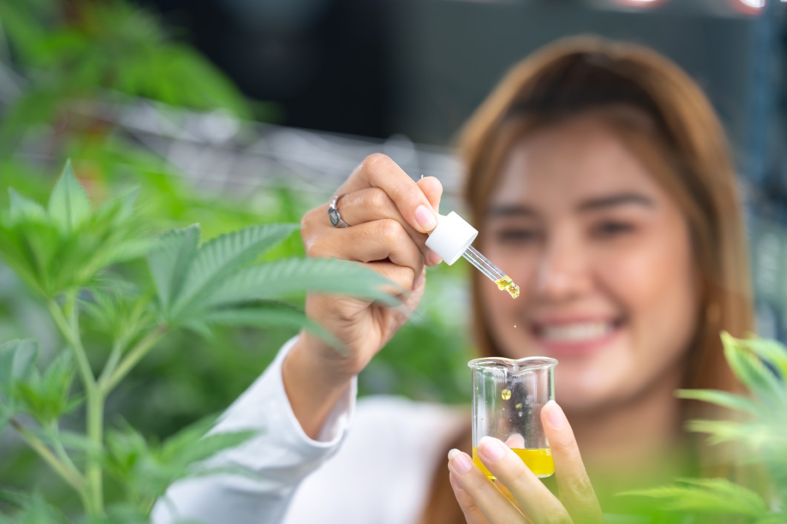 How Long Does CBD Take to Work? Factors That Influence Its Absorption and Effects - All Greens ...