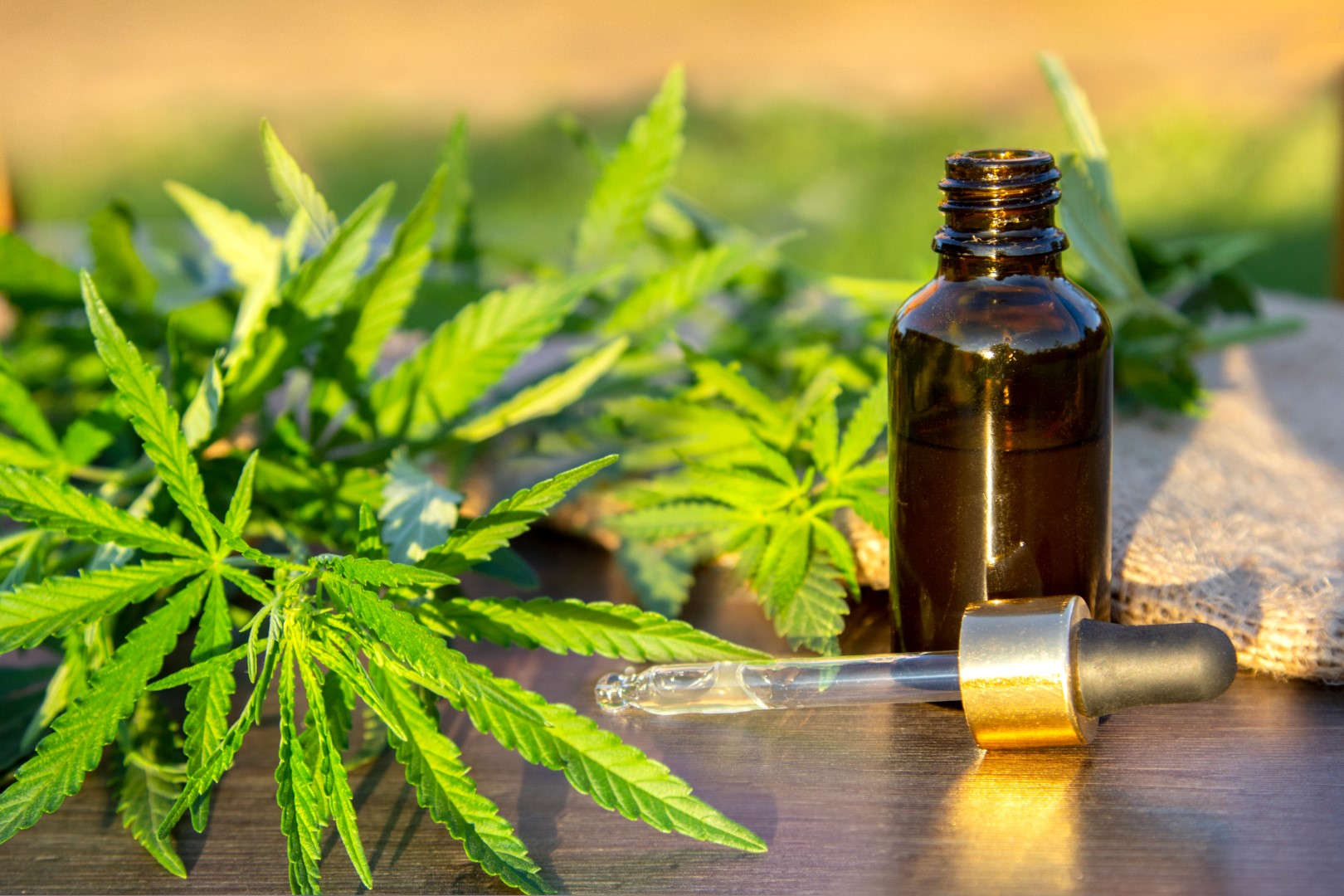 When to Take CBD: Morning vs Evening Benefits Explained - All Greens Clinic